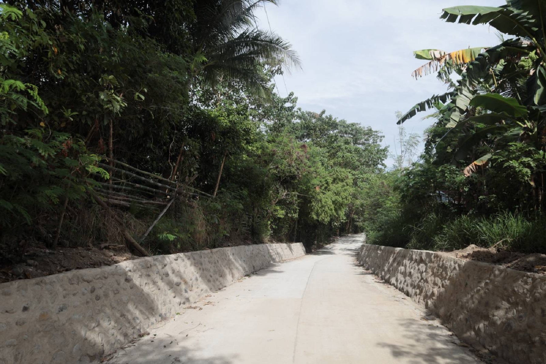 DPWH paves farm-to-market road in Abucay - Philippine Information Agency DPWH paves farm-to-market road in Abucay - Philippine Information Agency